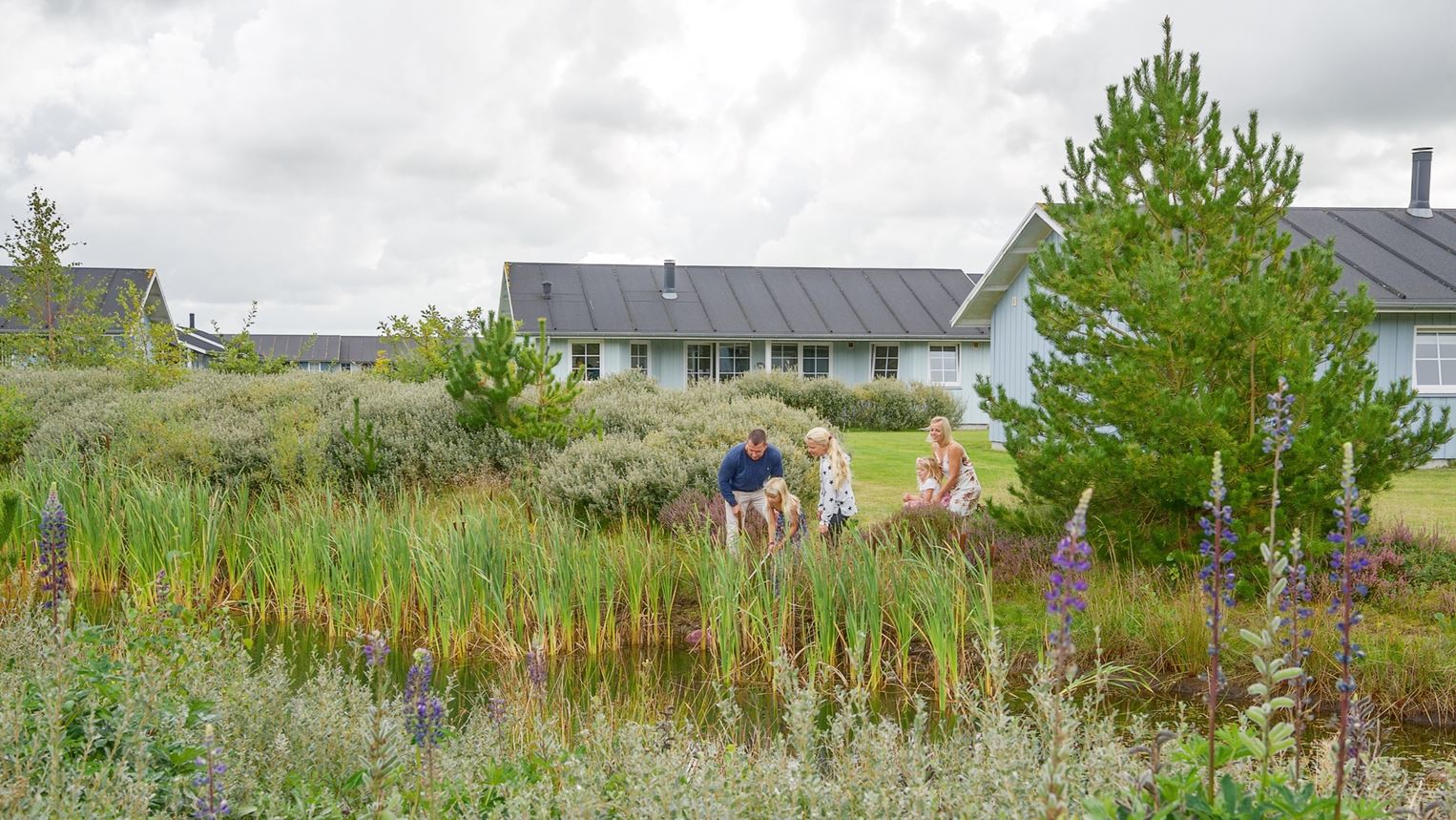Feriepark Landal Seawest | Landal GreenParks